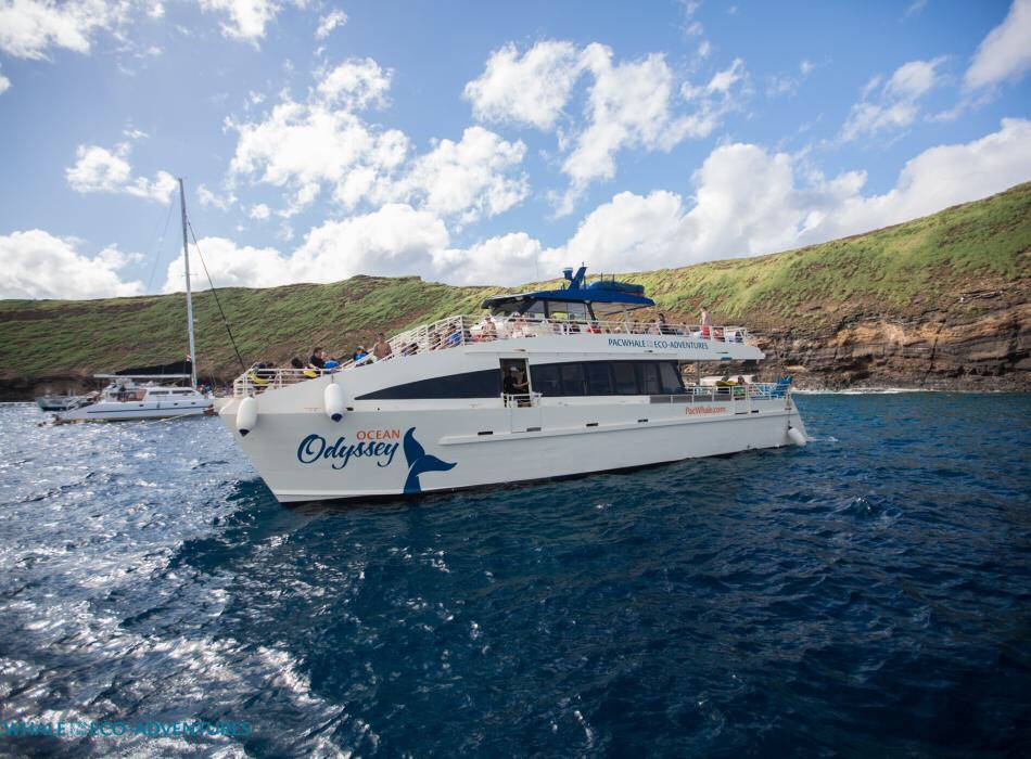 Travel Diaries: Maui Day 2 – Eyes On The Good Life